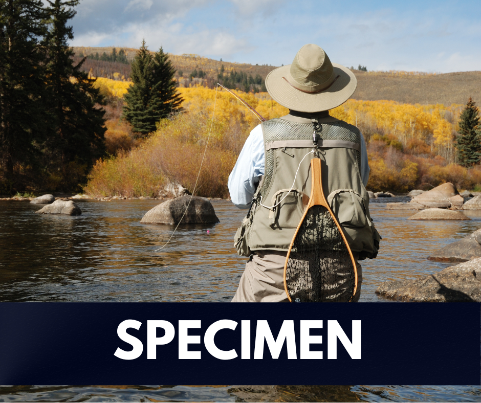 Specimen Fishing – probaitandtackle