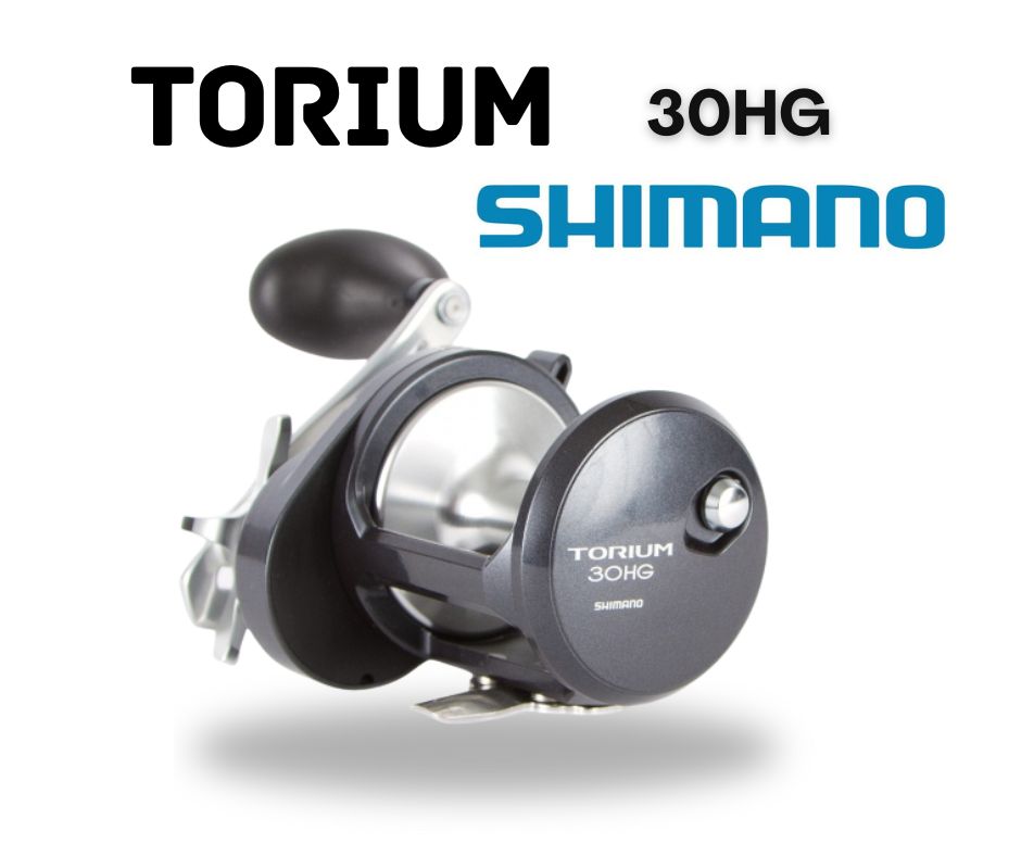 SHIMANO TORIUM 30 HG REEL – probaitandtackle