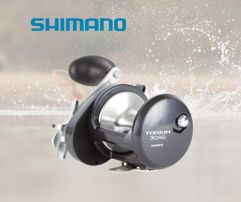 SHIMANO TORIUM 30 HG REEL – probaitandtackle